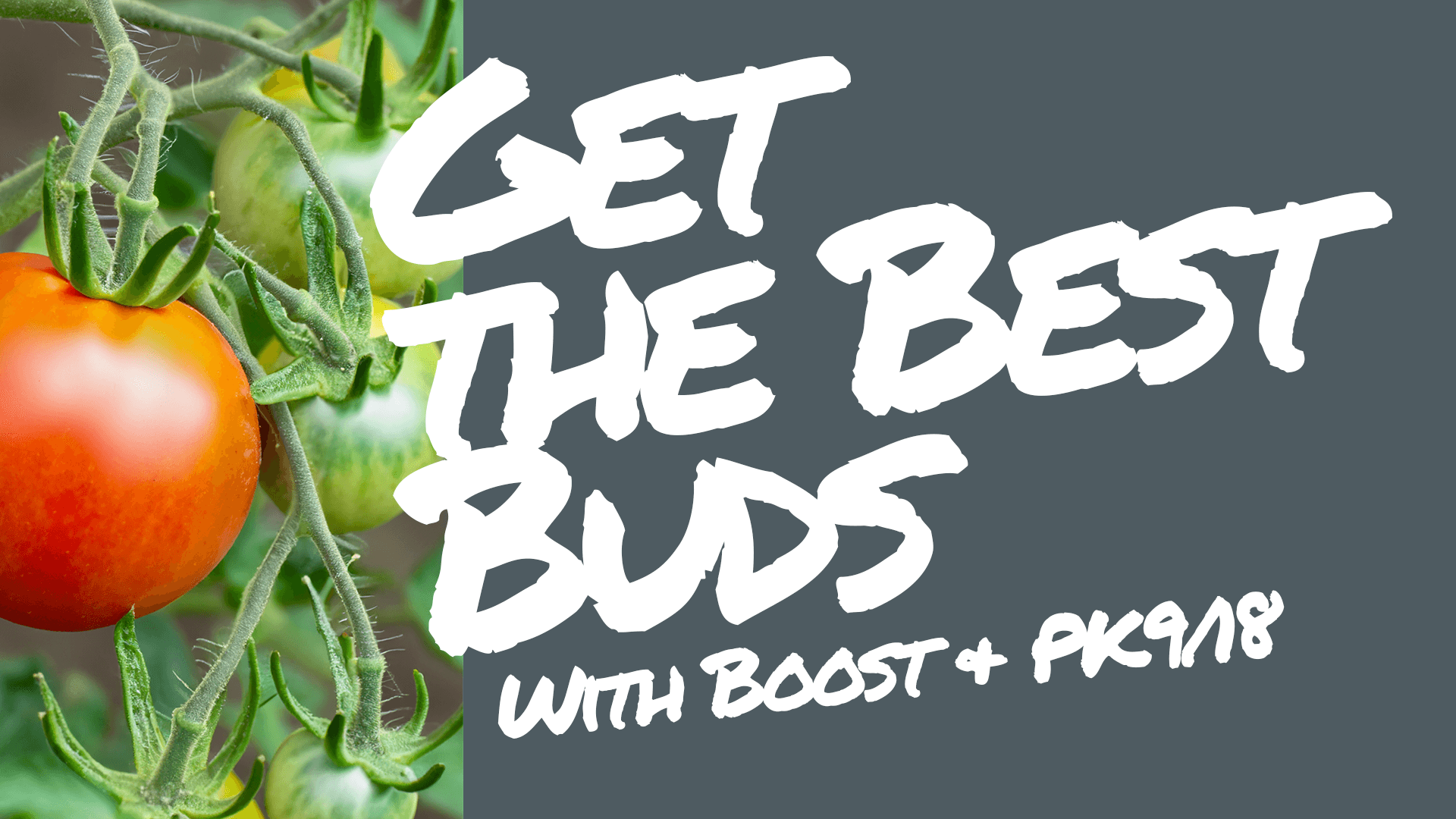 Optimise Growth with Plant Magic Boost