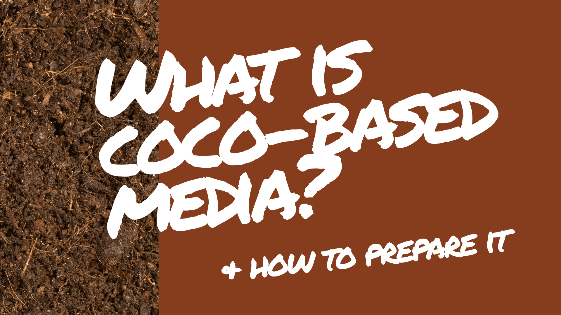 What is Coco-based Media & How to Prepare it - Plant Magic